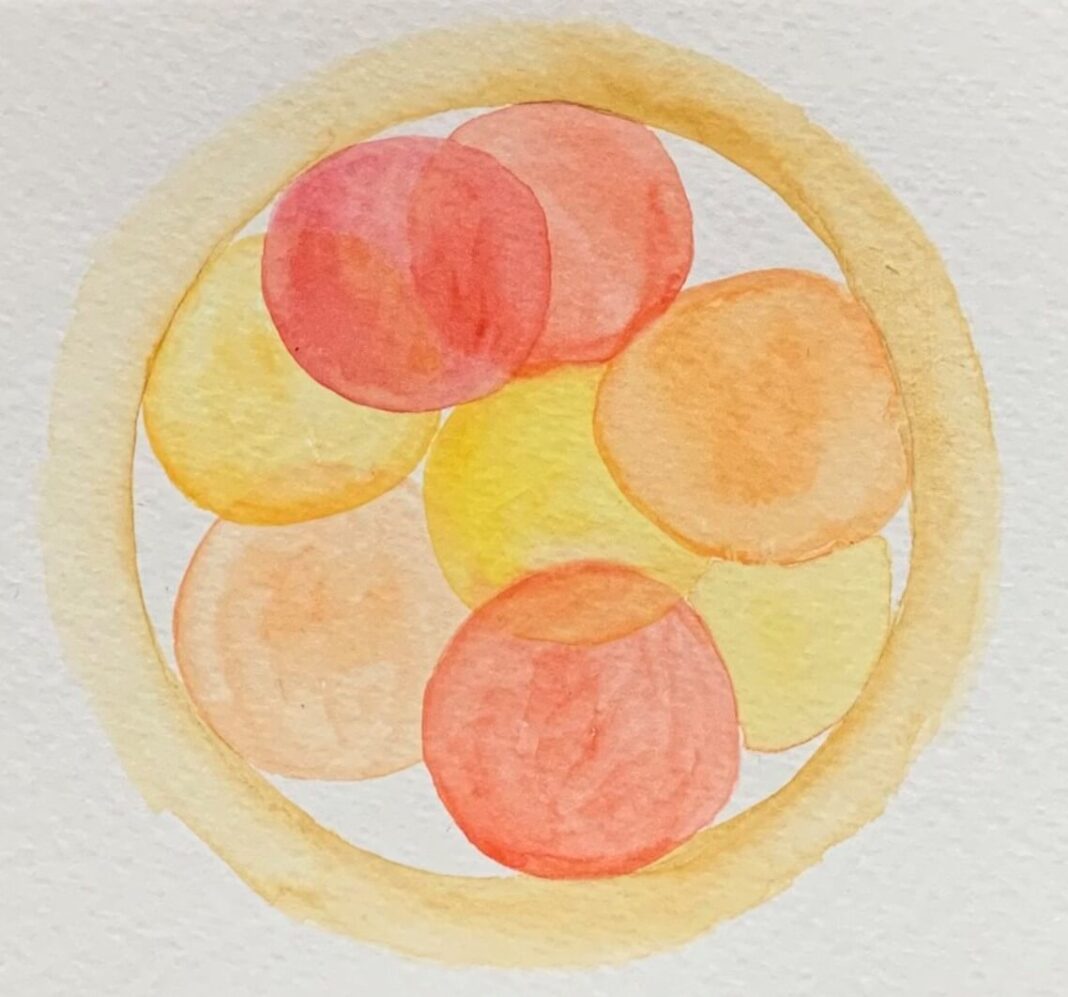 Embryo Quality In IVF: Grading Systems Explained