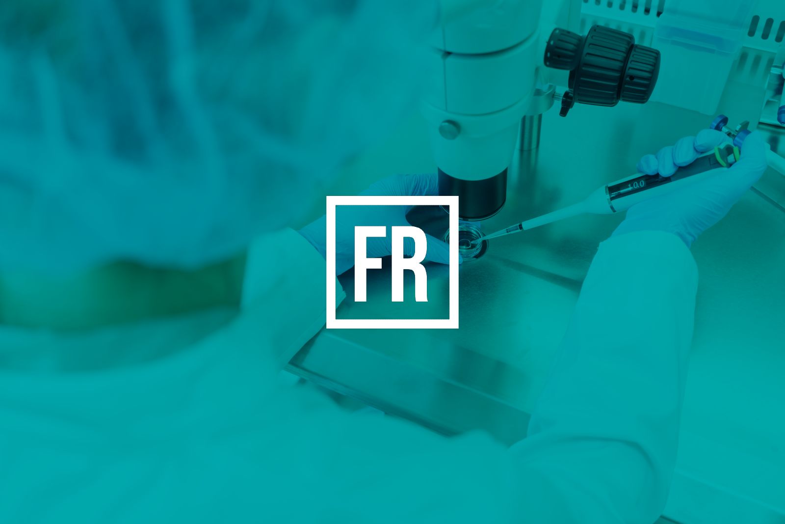 IVF Process—Steps Explained