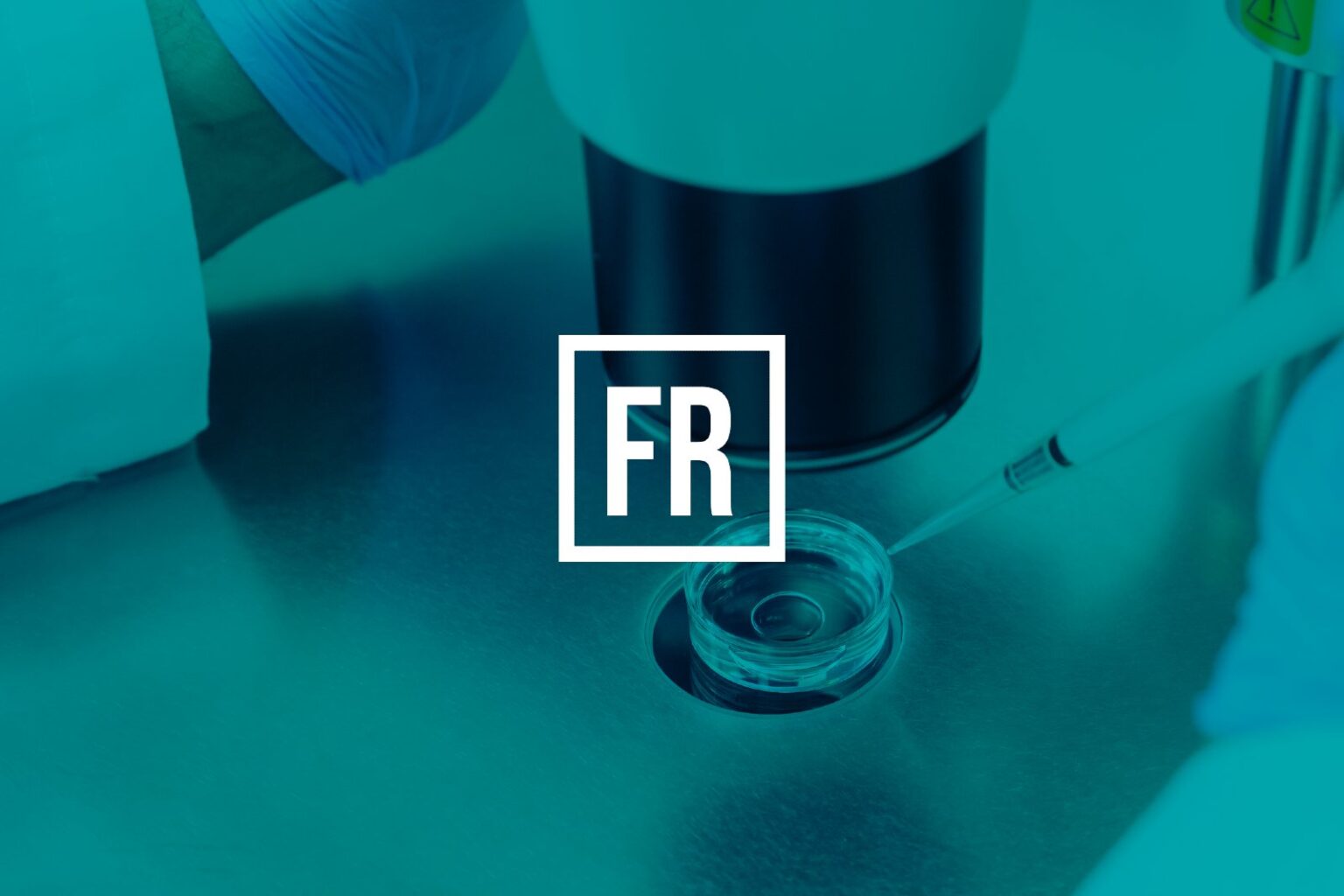 Risks Associated With Multiple Embryo Transfer And HFEA Guidelines ...